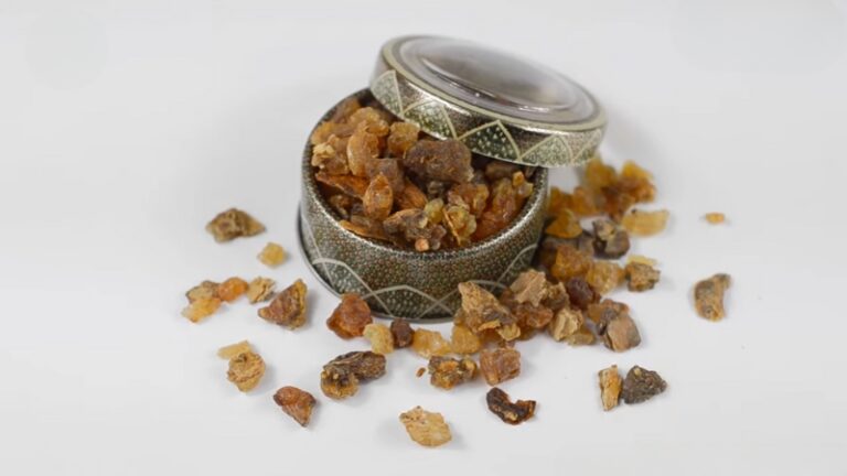 Where Does Myrrh Come From - Tracing the Origins
