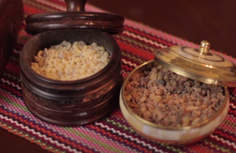 Where Does Myrrh Come From - Tracing the Origins