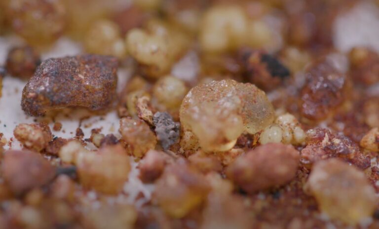 Where Does Myrrh Come From - Tracing the Origins