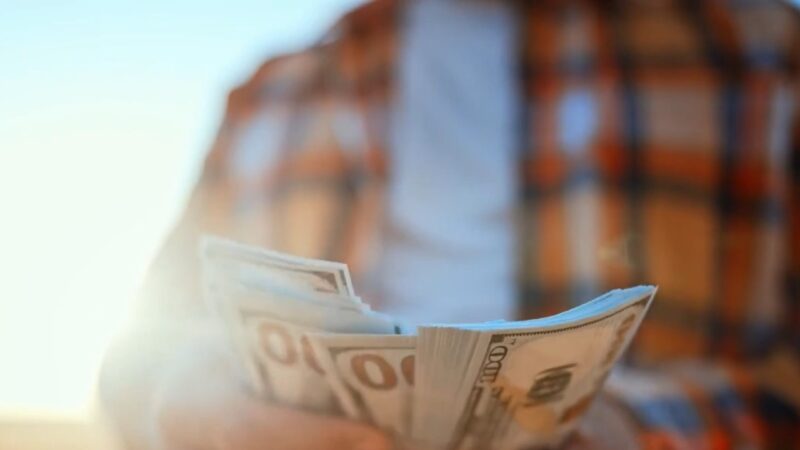 Green Your Mission - A Comprehensive Guide to Sustainability Grants ...