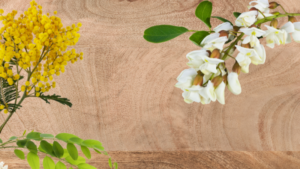 11 Interesting Facts About the Origin of Acacia Wood