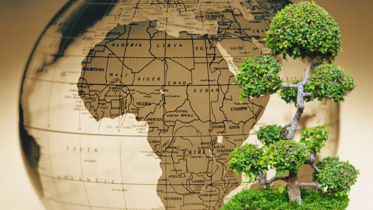 Complete Guide to the Ebony Tree - Origins, Uses, and Care